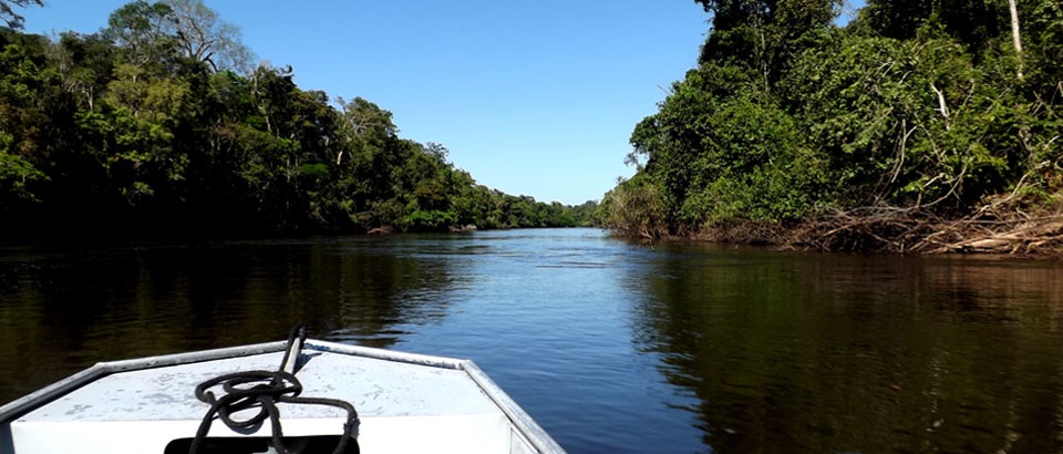 The Amazon in Brazil | Brazil | The South America Specialists™
